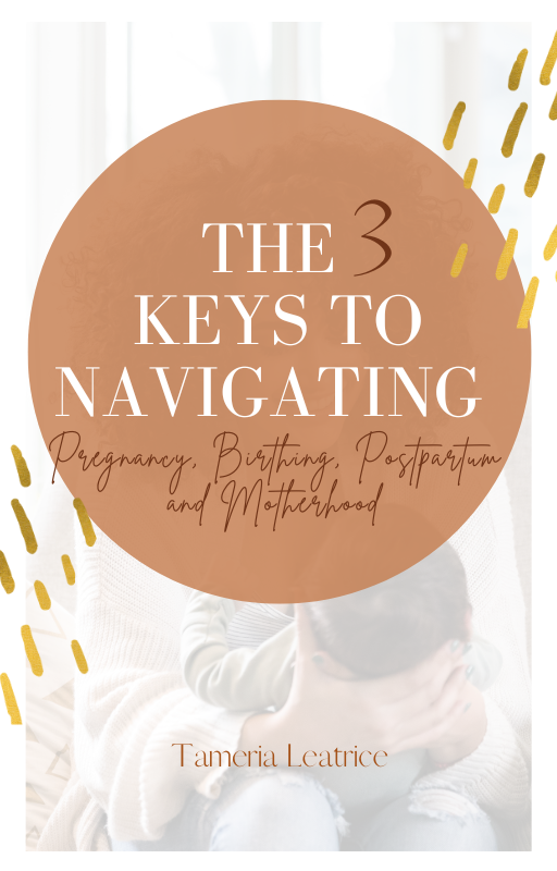The 3 Keys Principles to Navigating Pregnancy, Postpartum and Motherhood E-book