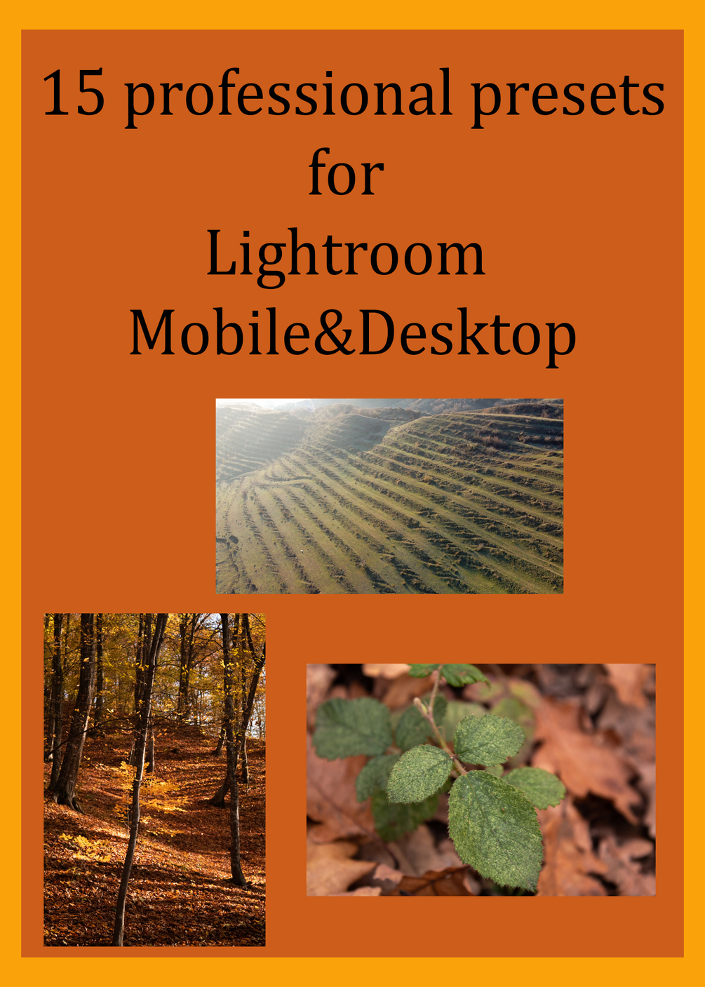 Autumn Pack Presets (for desktop and mobile)