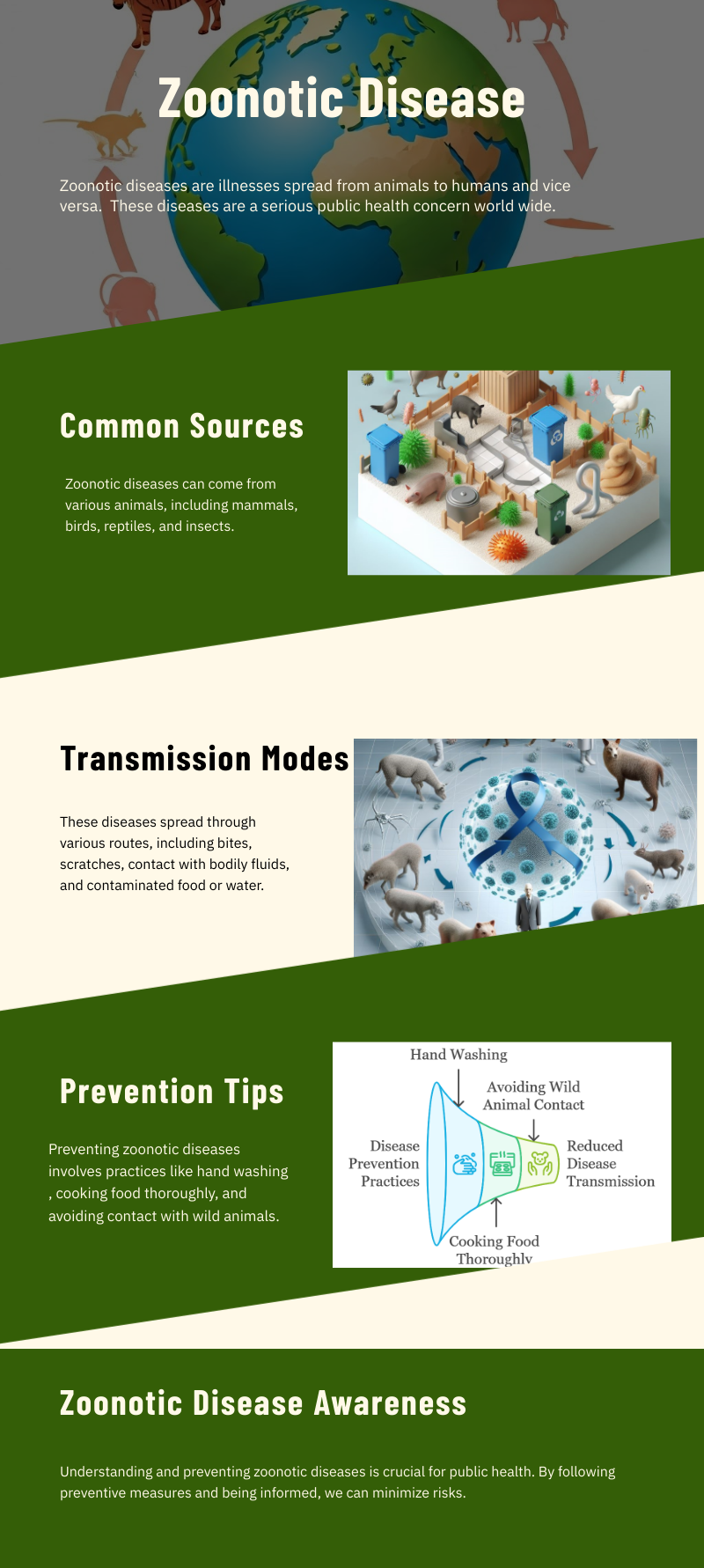 Professional infographics