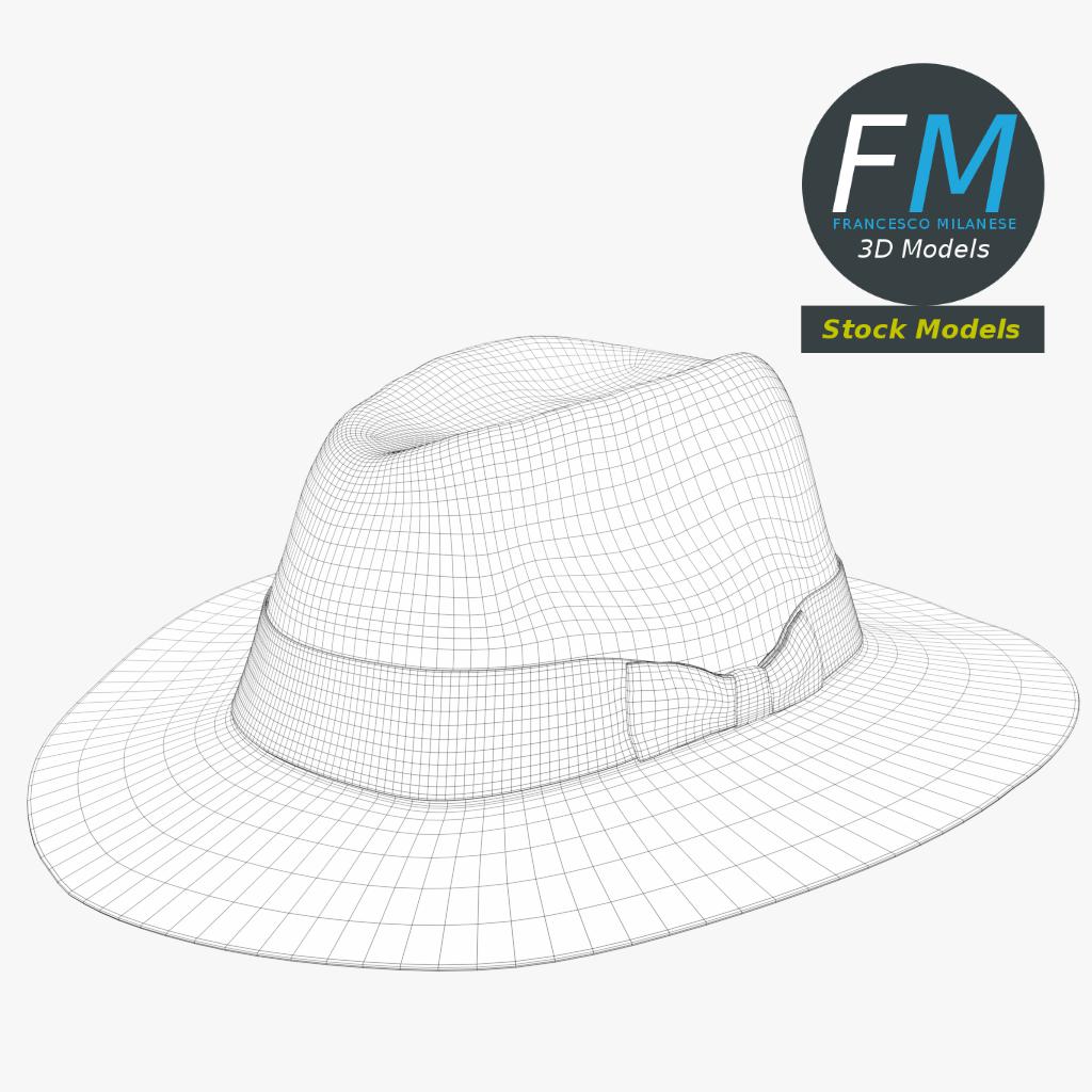 3D MODEL - Panama hat