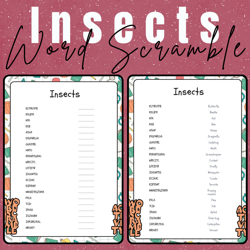 Insects - Word Scramble No Prep Printable Activity Worksheet