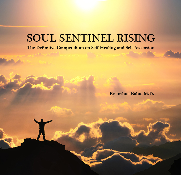 Soul Sentinel Rising eBook