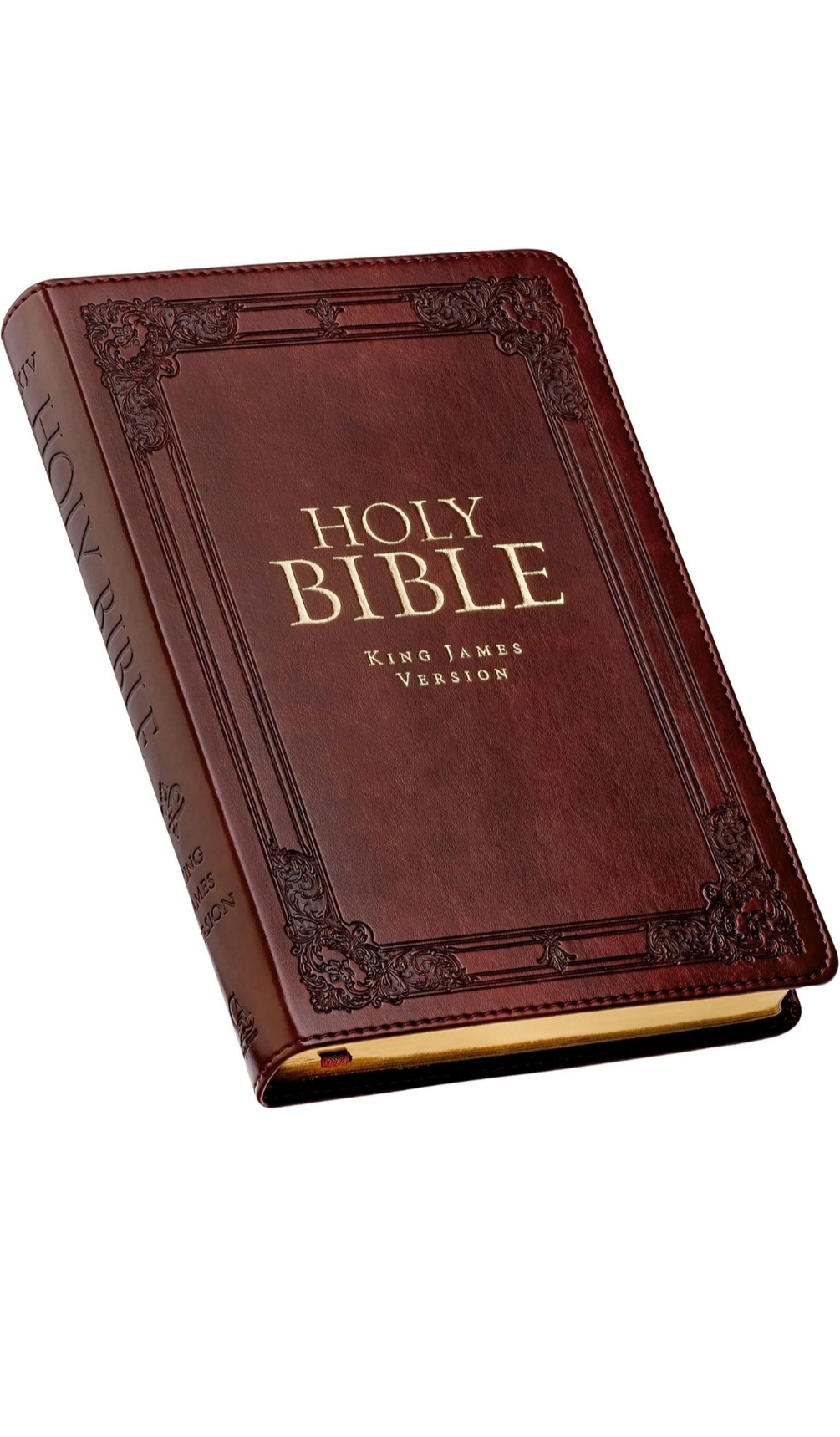 The Bible Book