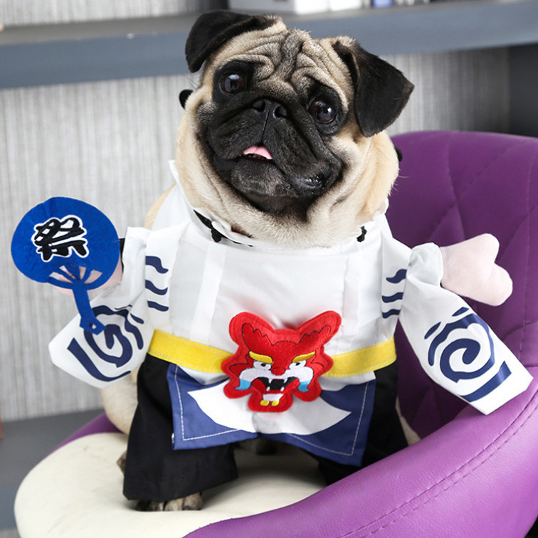 Big Tengu Two-legged Costume for Dog