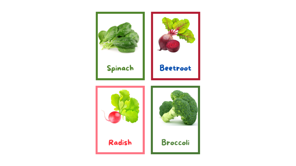 Kids Learning Flash Card