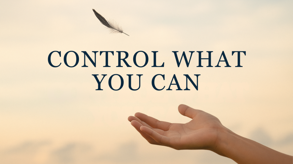 Stoic Reset Course Bundle – TikTok Edition - The Calm Within: 4-Day Stoic Reset to Reclaim Your ...