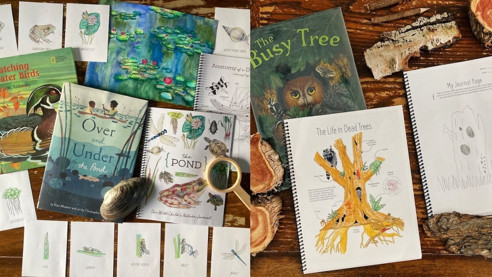 Tree Nature Study BUNDLE - Charlotte Mason