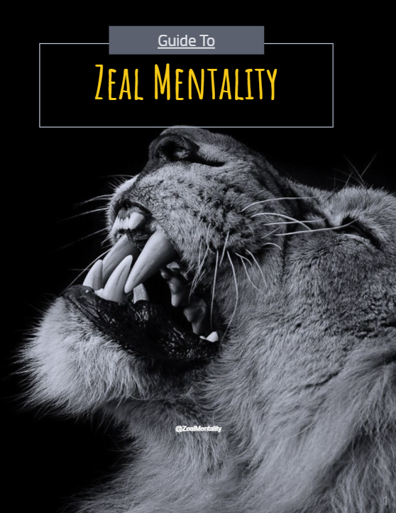 Guide to Zeal Mentality