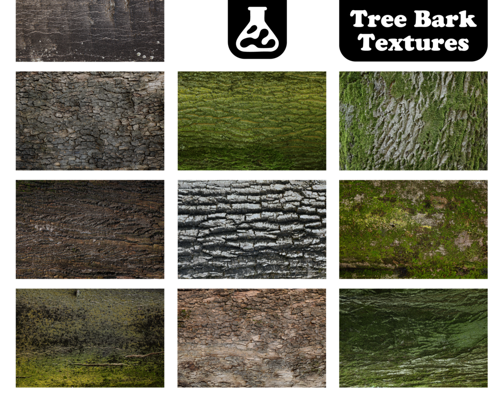 Tree Bark Textures Pack: High-Resolution Wood Backgrounds (6000x4000px JPG)