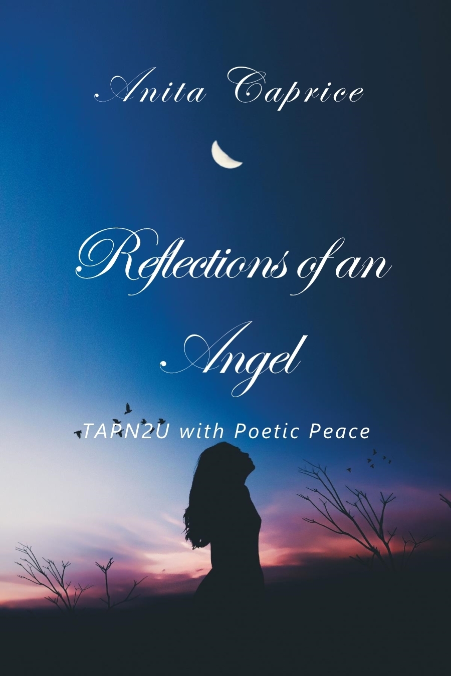 Reflections of an Angel E-Book