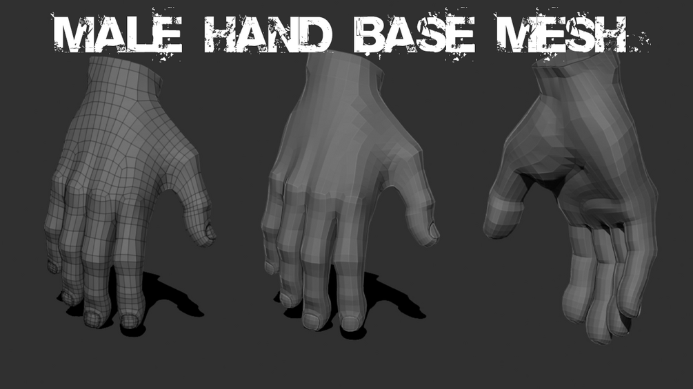 Male Hand Base Mesh