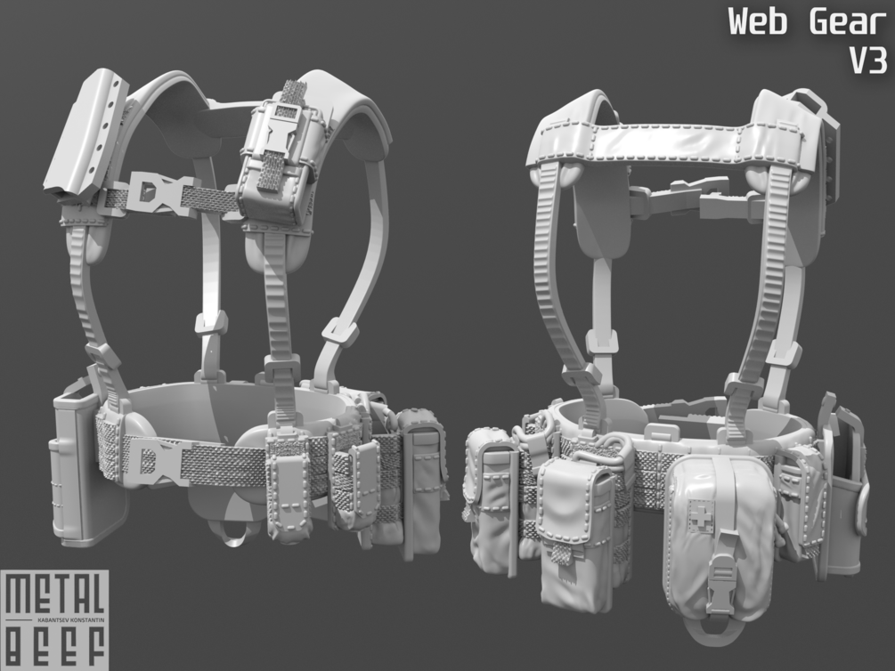 Web Gear V3