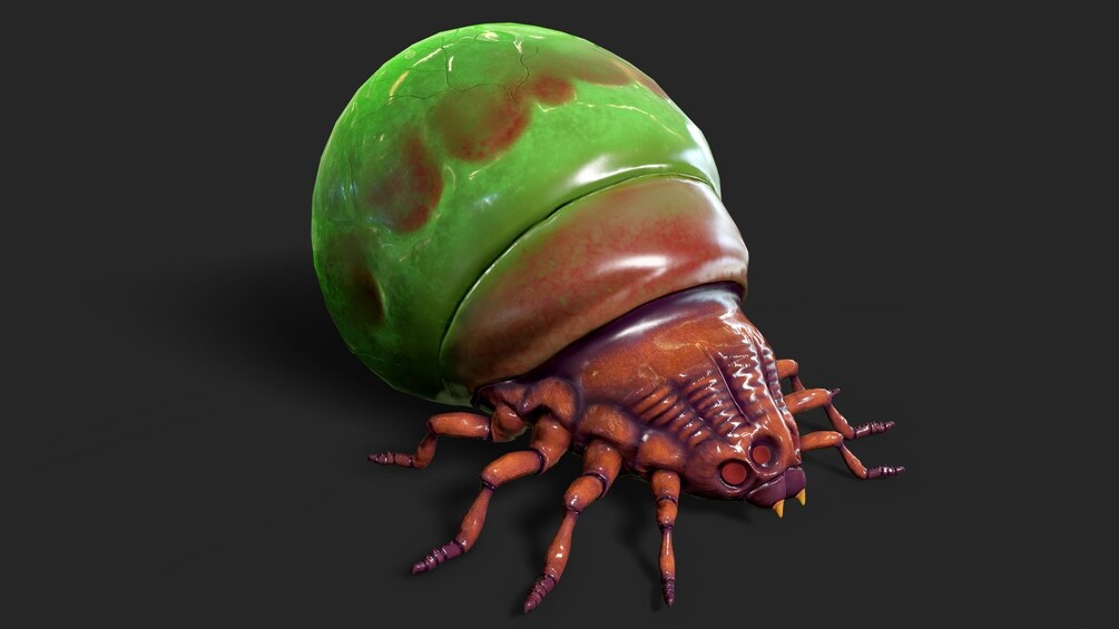 Insect - Poison Beatle