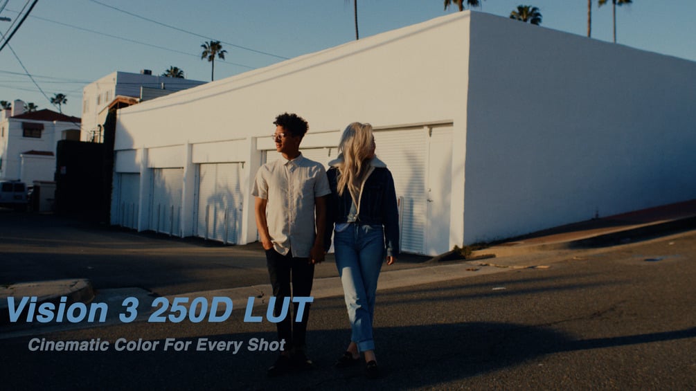 Vision 3 250D LUT - Cinematic Film Emulation by CineVision LUTs