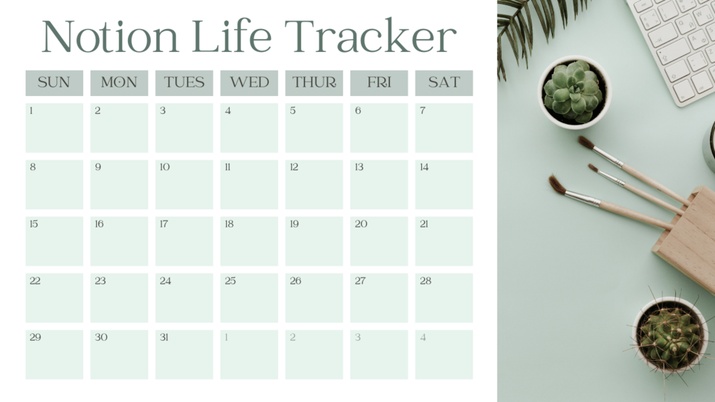 Notion Life Tracker