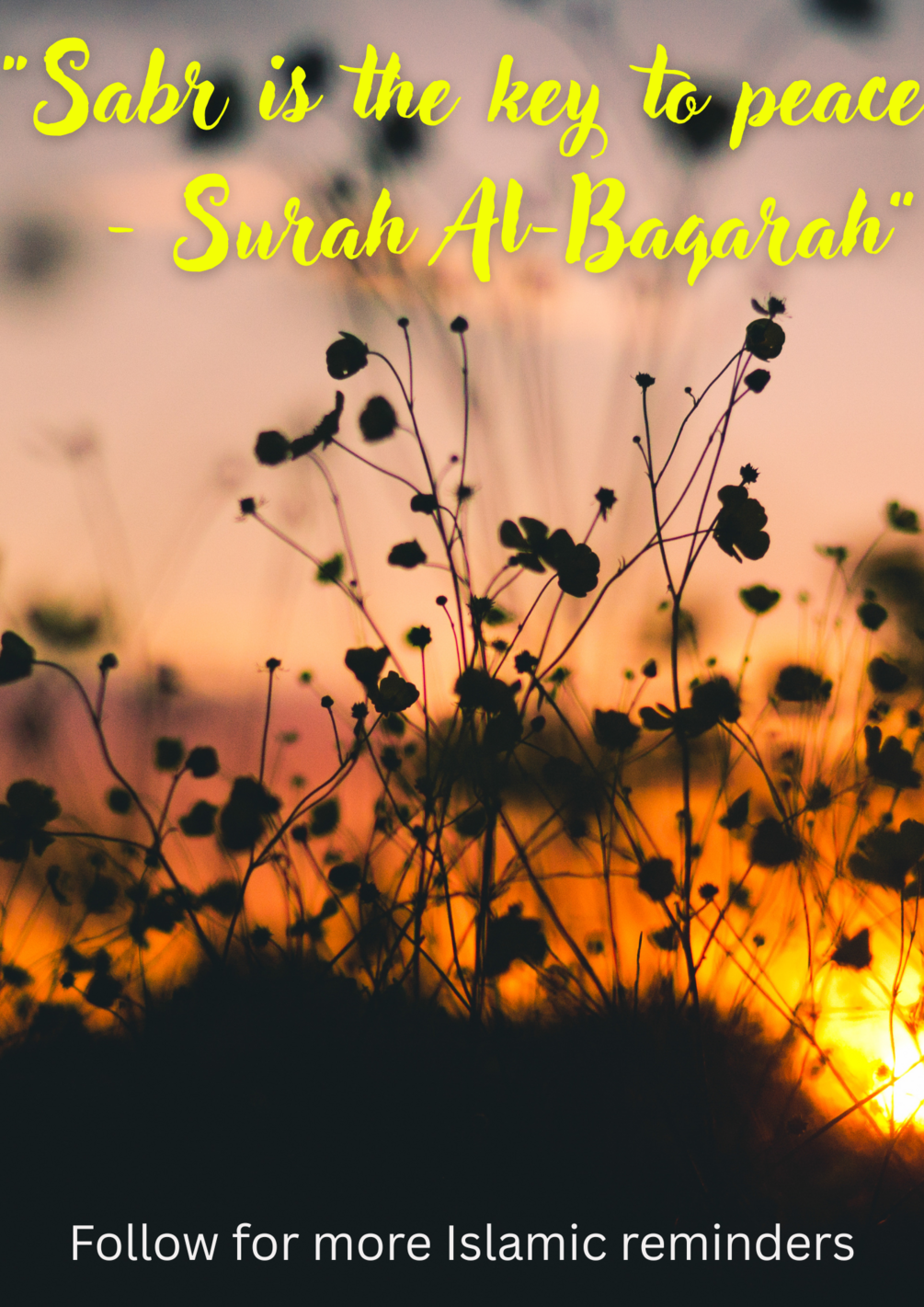Sabr Quote Poster – Digital Download