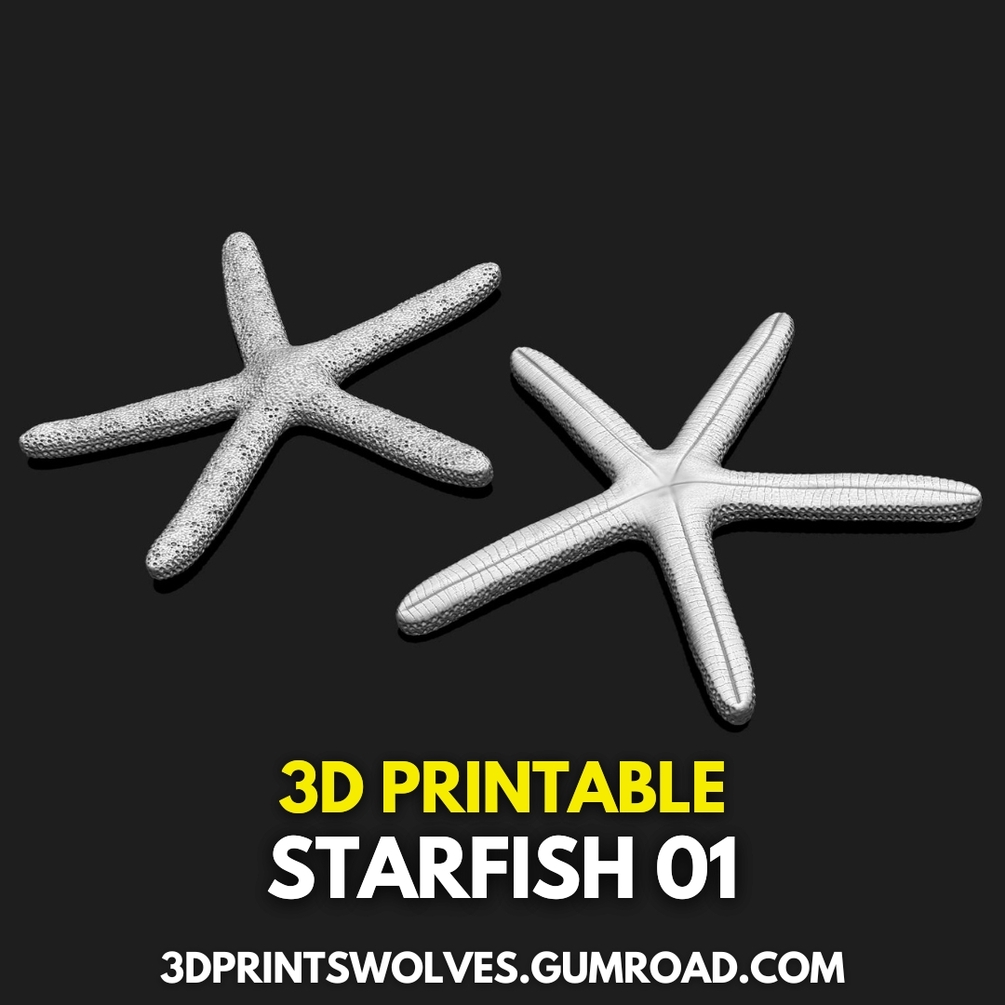Starfish 1 - 3D Print - Aquarium 3D print model