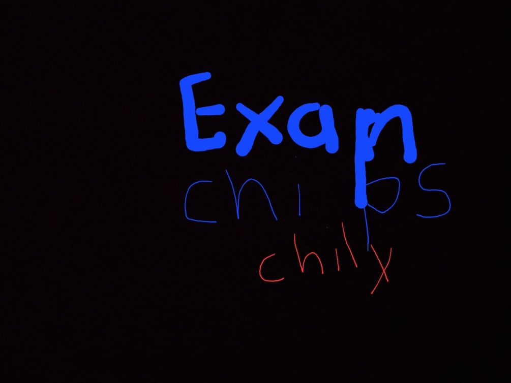 Exan chips