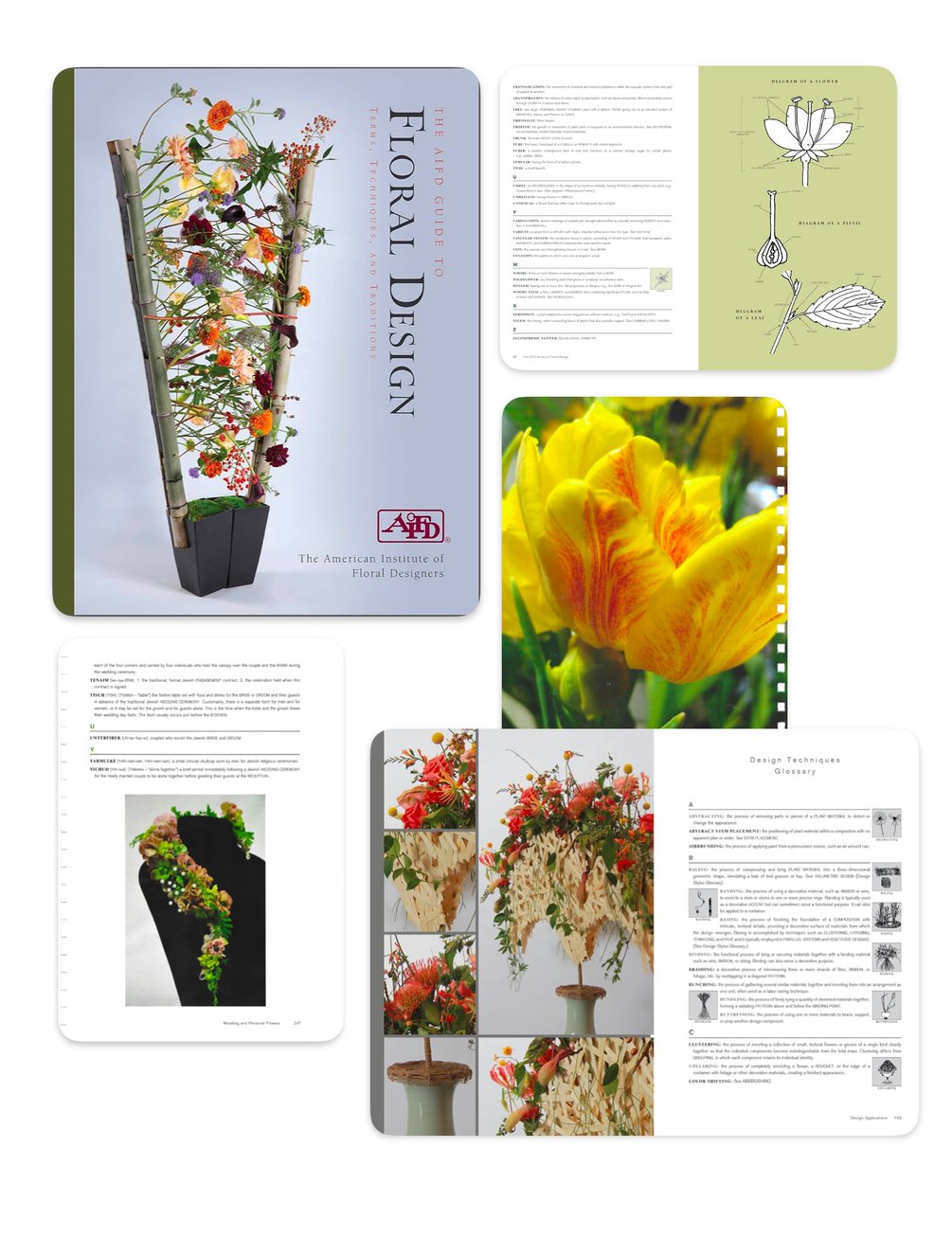 Floral Design The AIFD Guide PDF