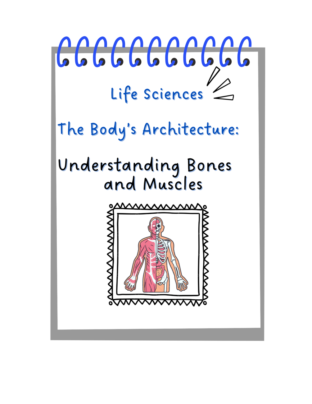 The Body's Architecture: Understanding Bones and Muscles