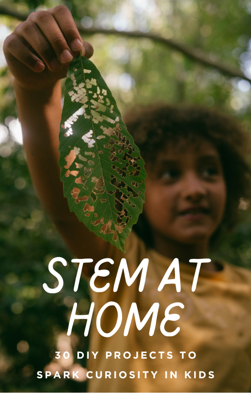 STEM at Home: 30 DIY Projects to Spark Curiosity in Kids