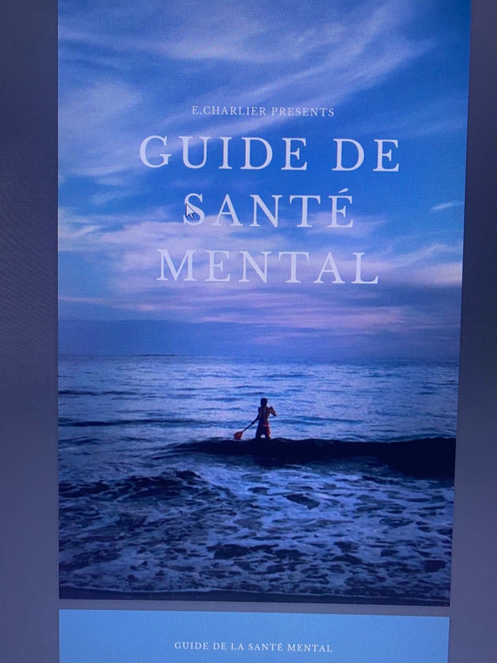 ebook santé mental
