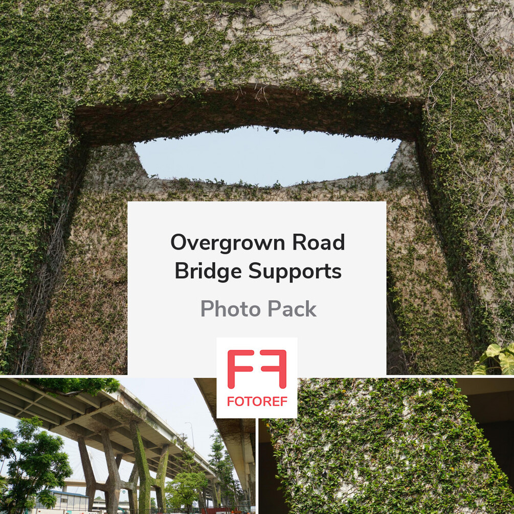 159 photos of Overgrown Road Bridge Supports