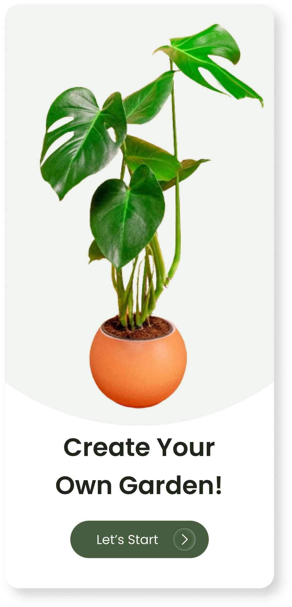 Flower App User Interface code