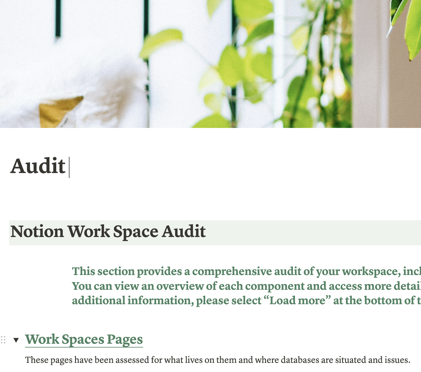 Audit - Template and Workspace - Evaluation and Solutions