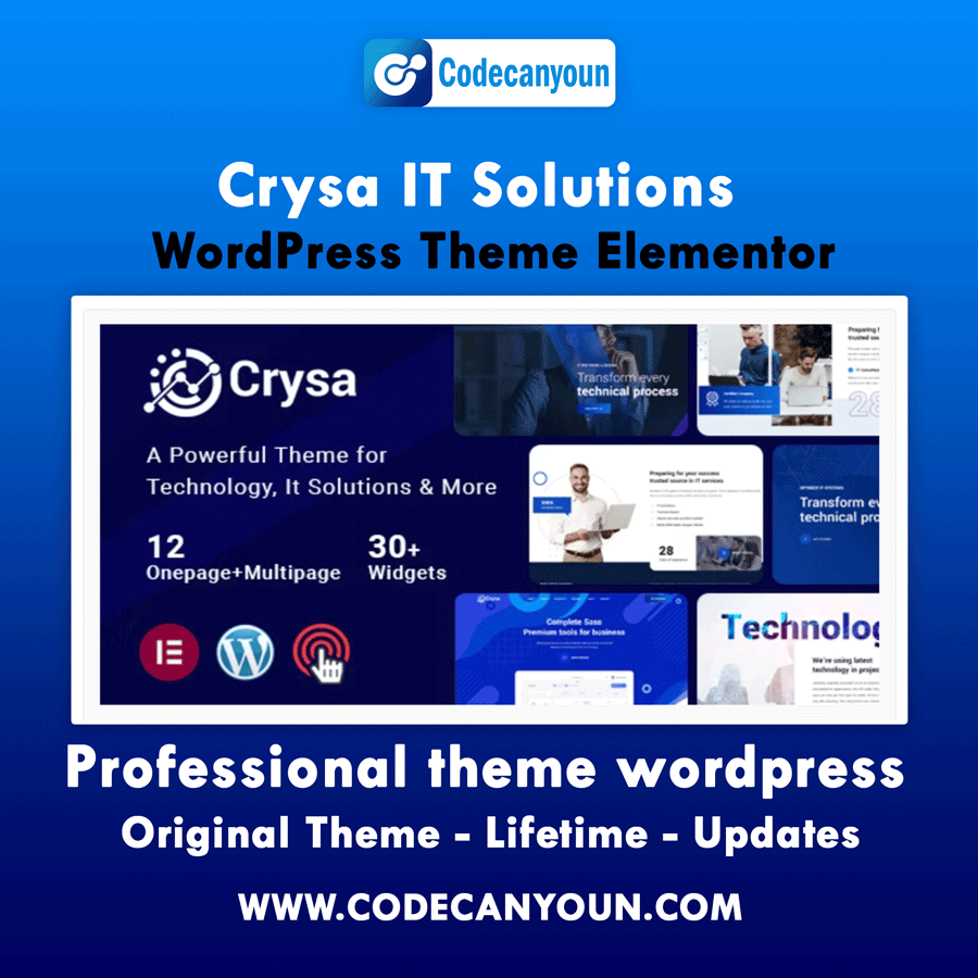 Crysa IT Solutions WordPress