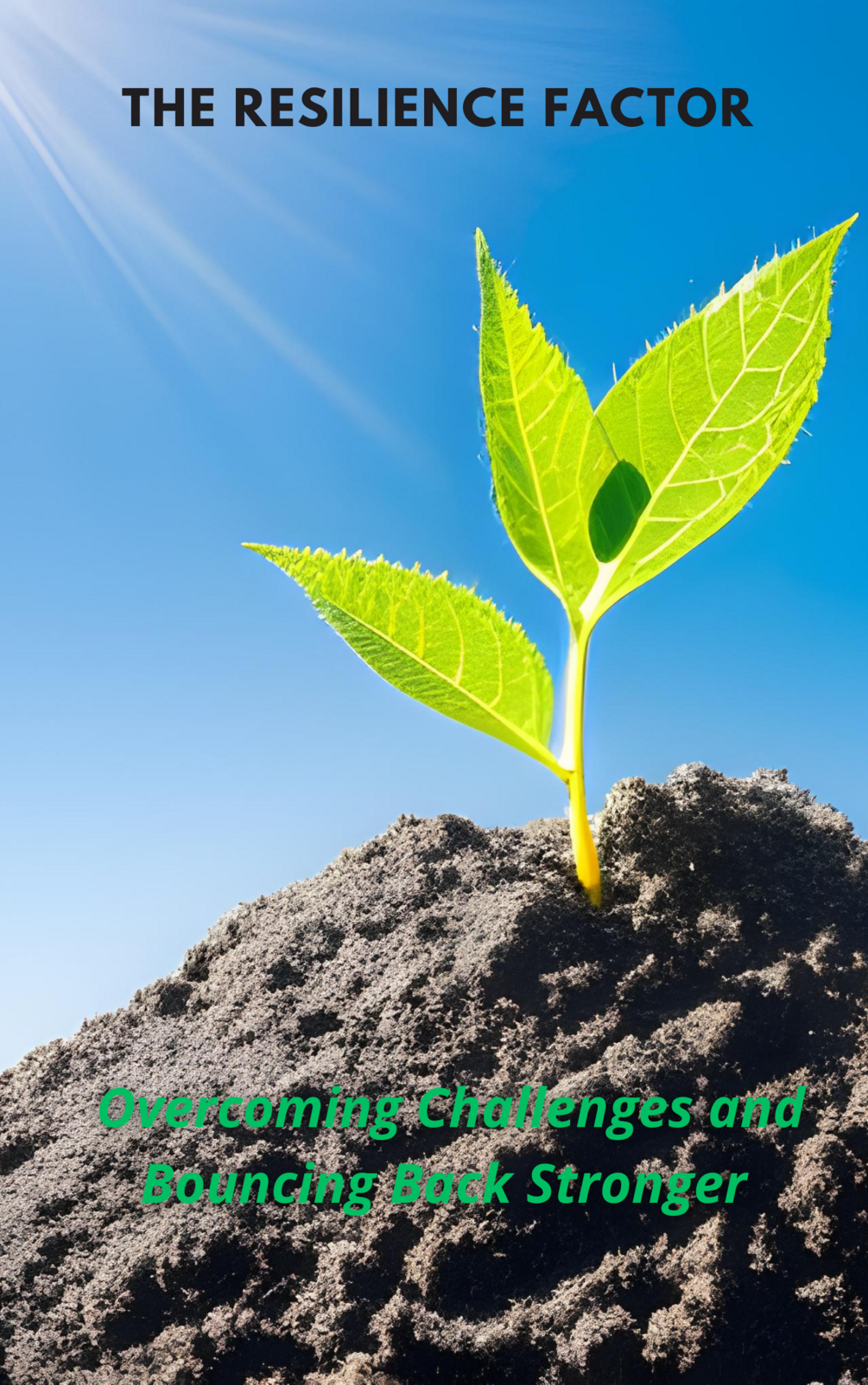 The Resilience Factor