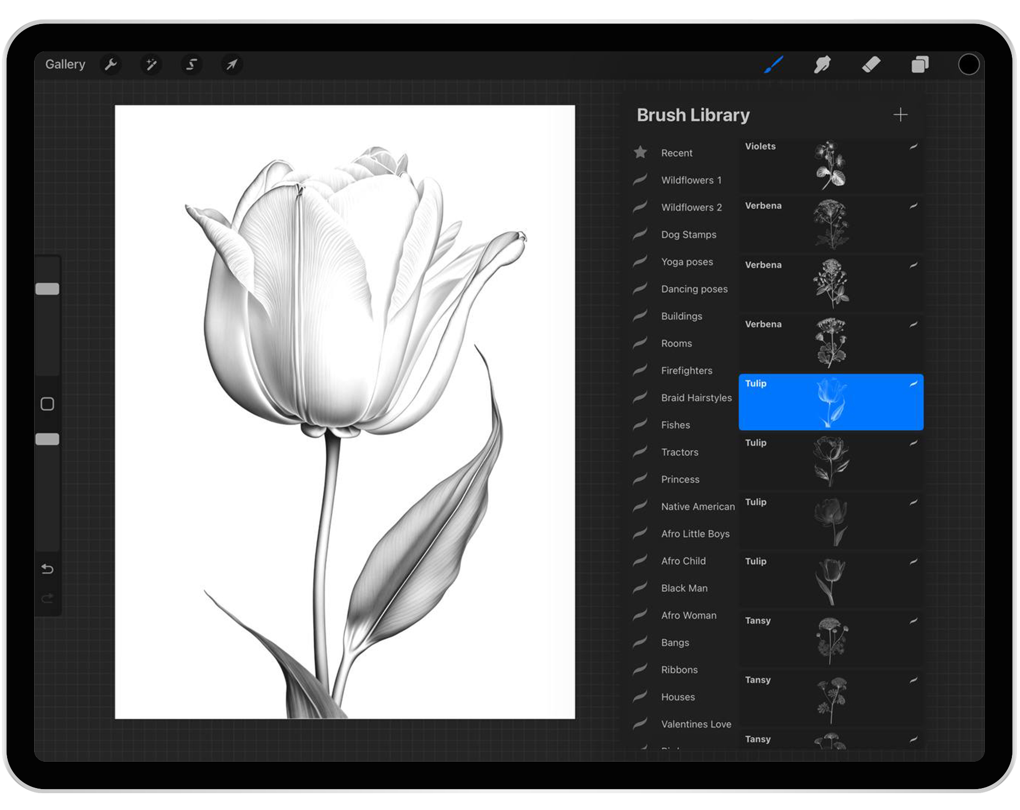 75 Procreate Wildflowers Part - 1 Stamp Brushes Collection