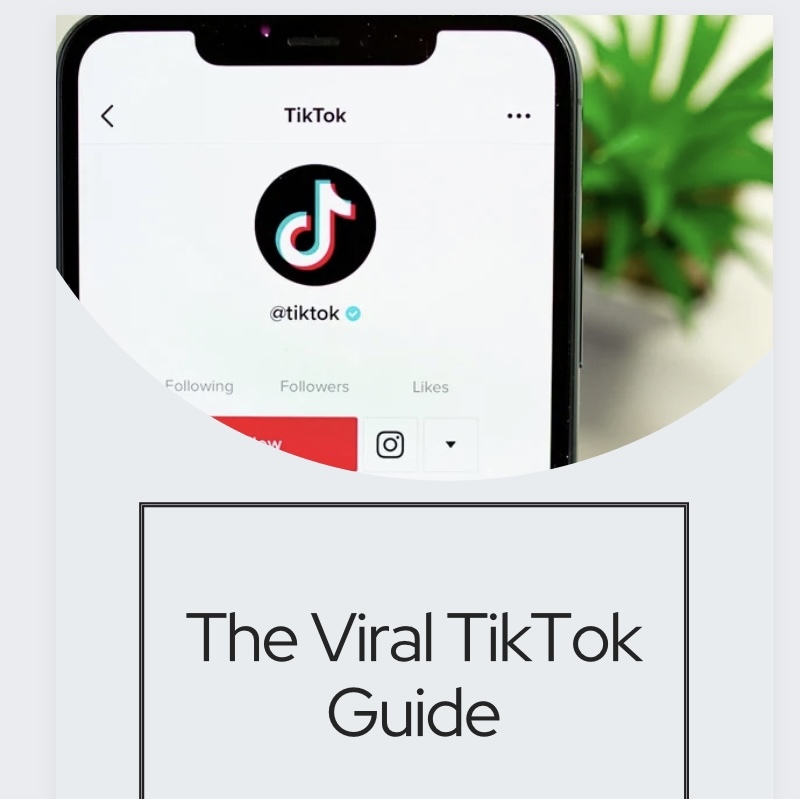 Viral Tik Tok Guide (PLR Rights Included)