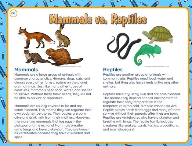 Paired Passage Worksheets-Mammals vs. Reptiles