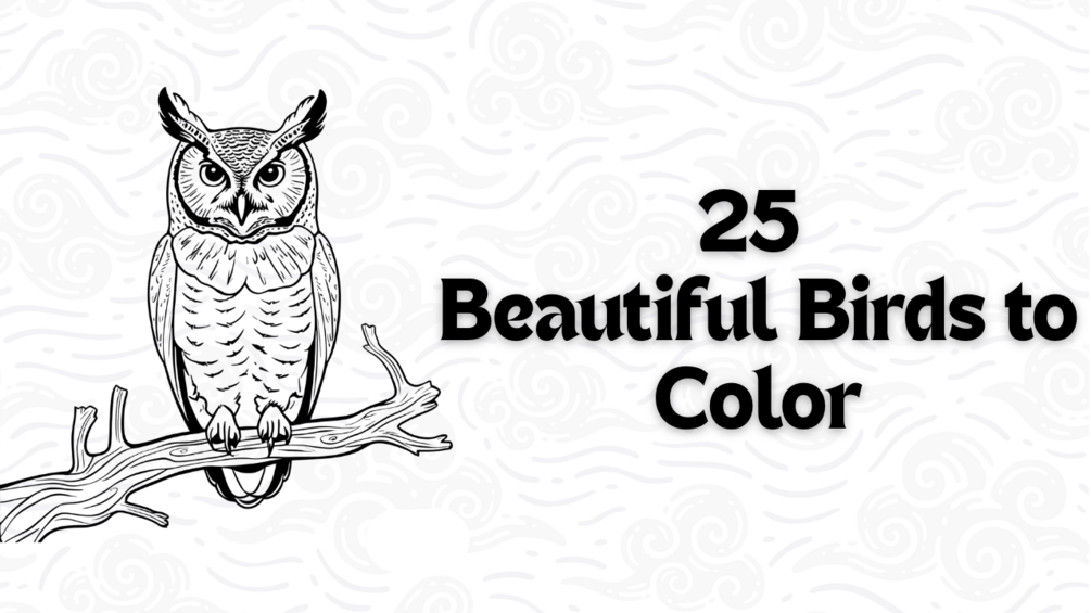 Printable Bird Coloring Book – 25 Beautiful Birds to Color