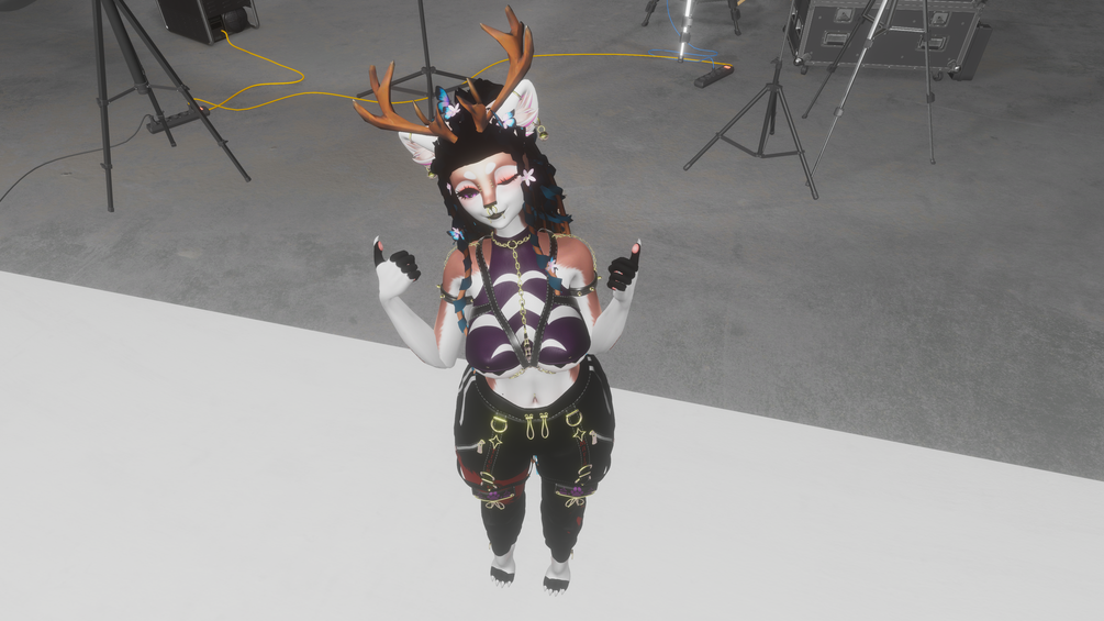 ZinDeer
