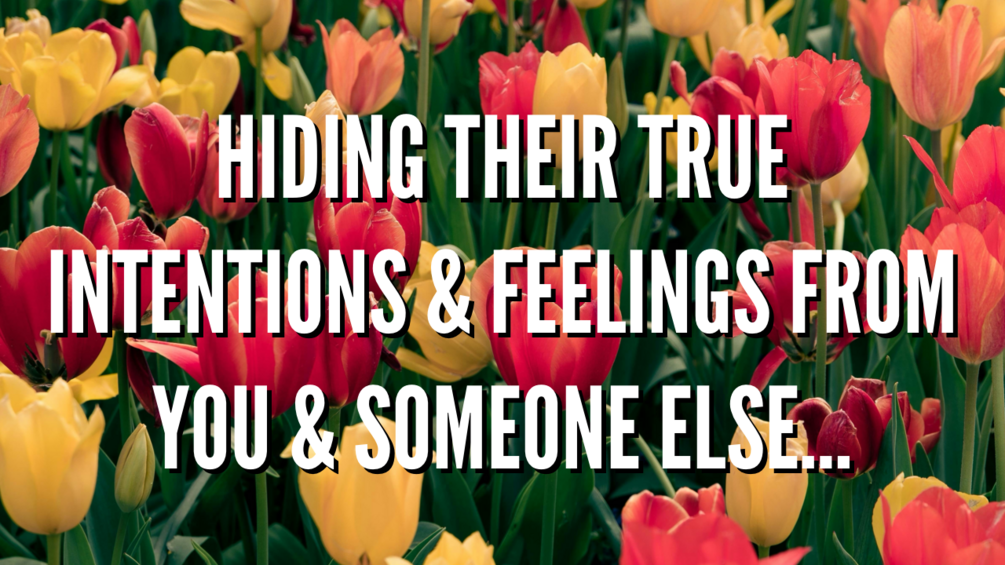 TAURUS • Hiding their true intentions & feelings from you & someone ...