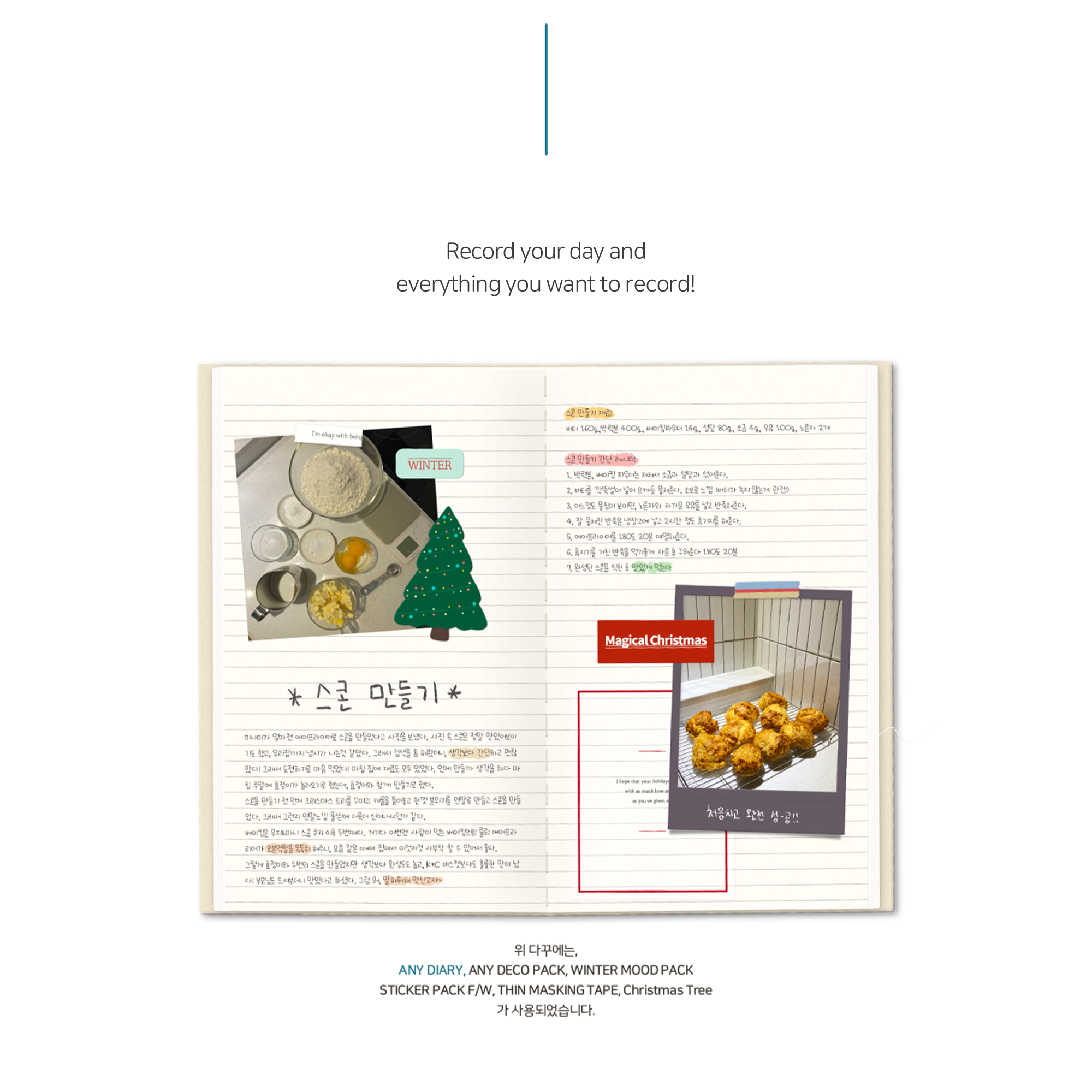 ANY DIARY (Digital file for i Pad)