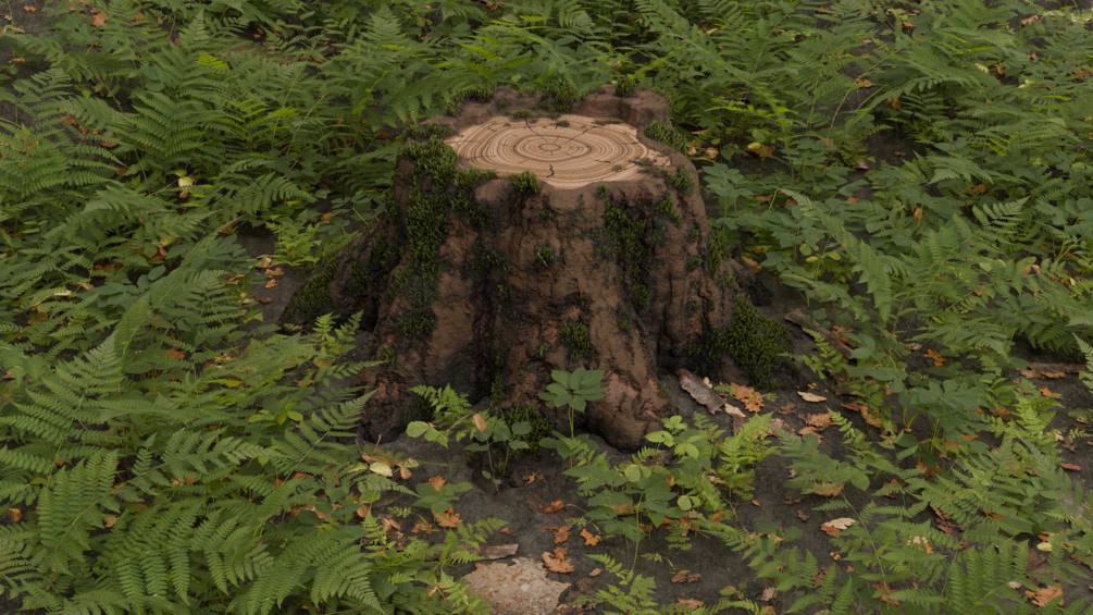 Realistic Tree Stump Asset Low Polly and High Res 8k/4k/2k
