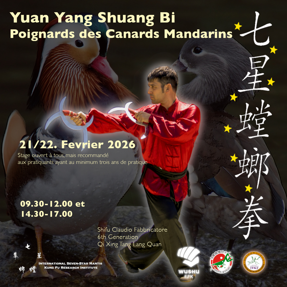 Early Bird for Yuan Yang Shuang Bi Workshop - Toulon - France - 2026 ...