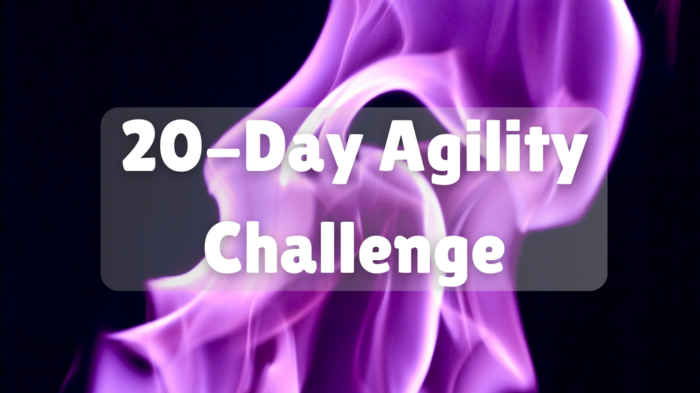 20 Day Agility Challenge