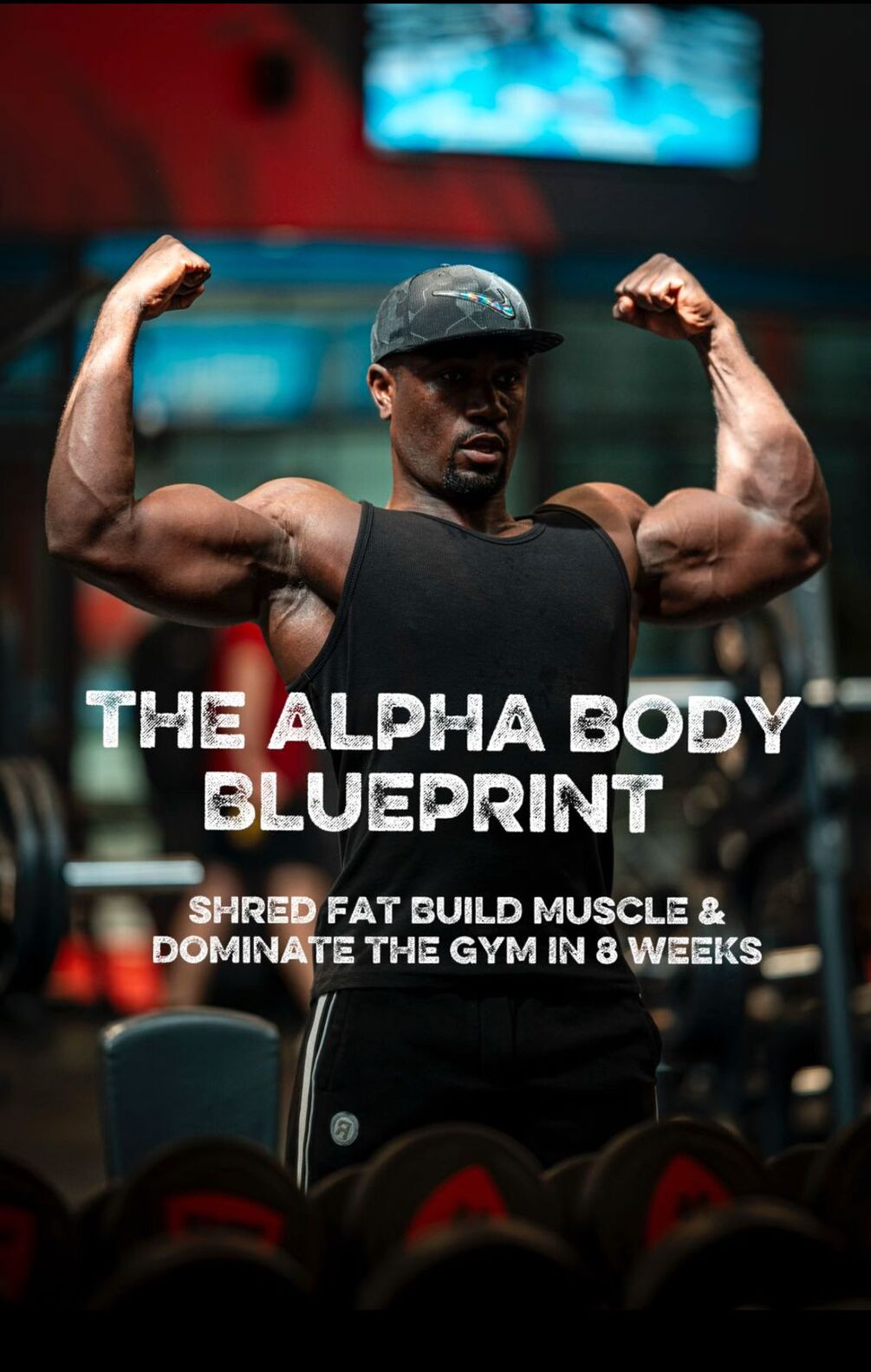 The Alpha Body Blueprint