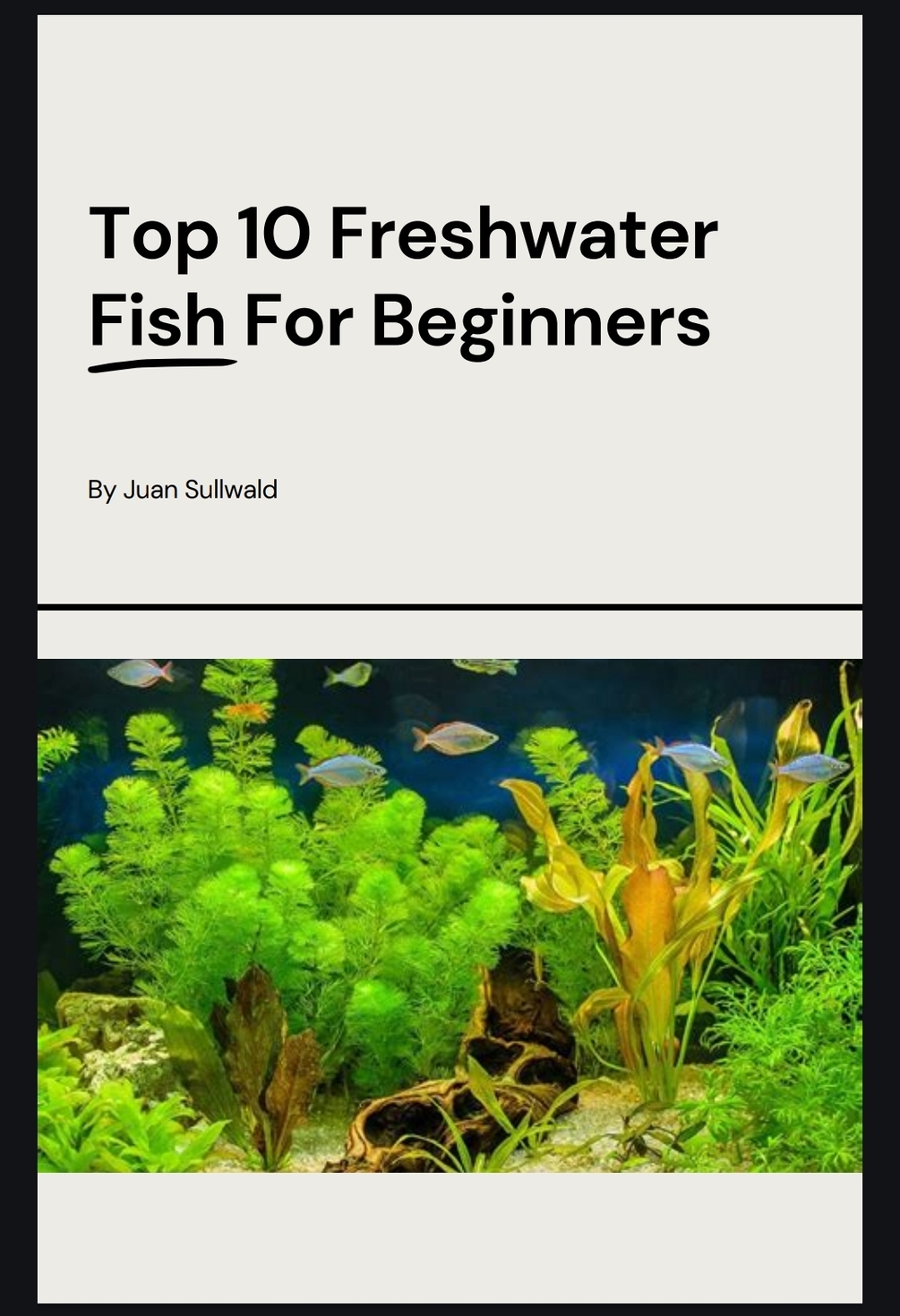 Top 10 Freshwater Fish For Beginners