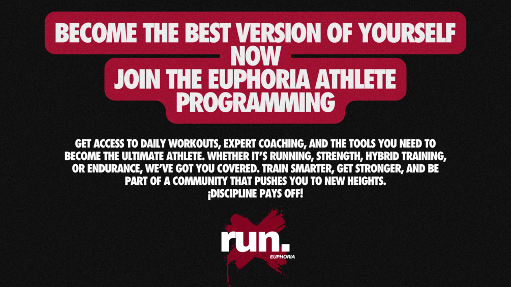 EUPHORIA TEAM PROGRAMMING