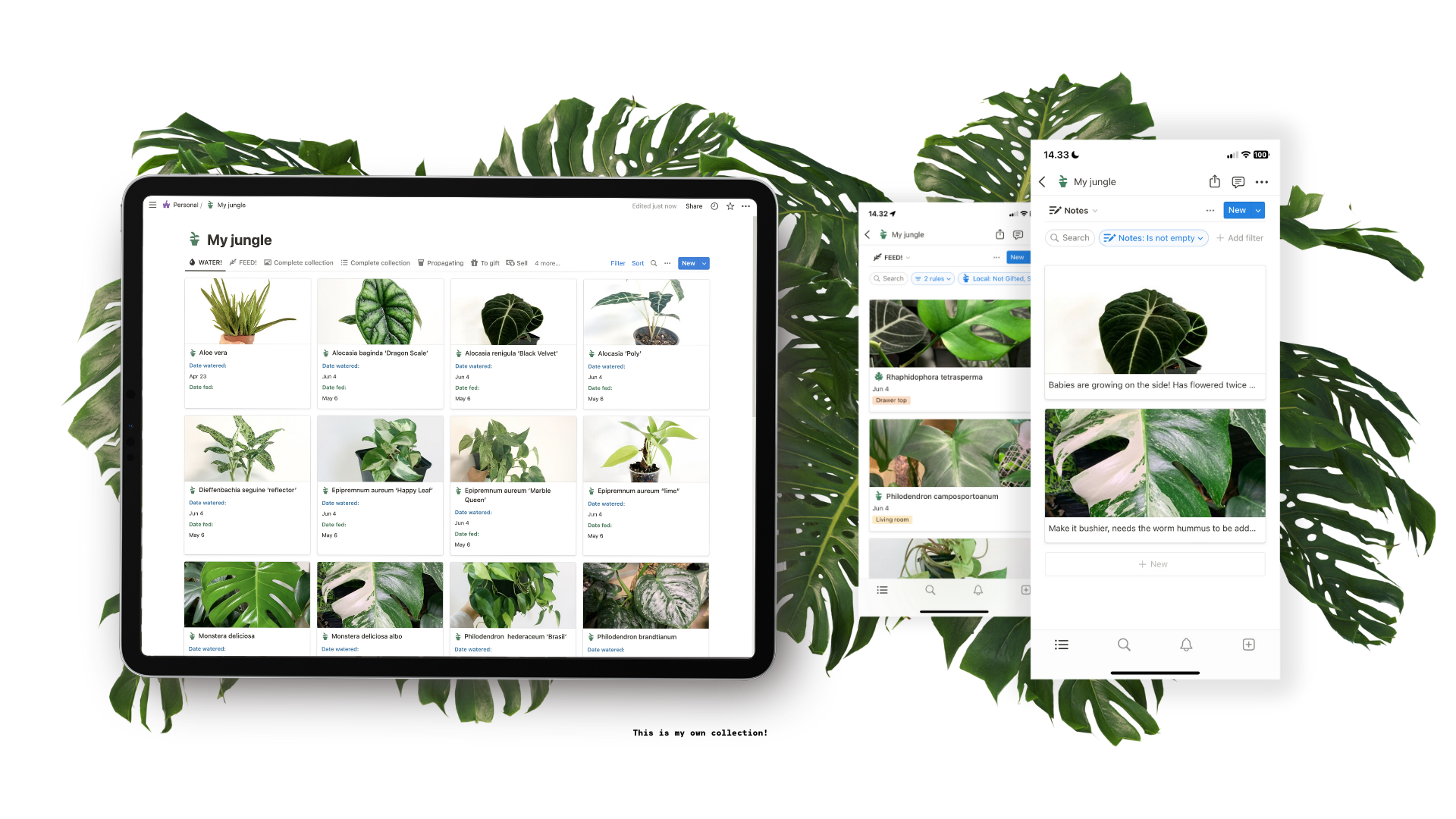 New plant tracker template 🌱 - Adventurempire