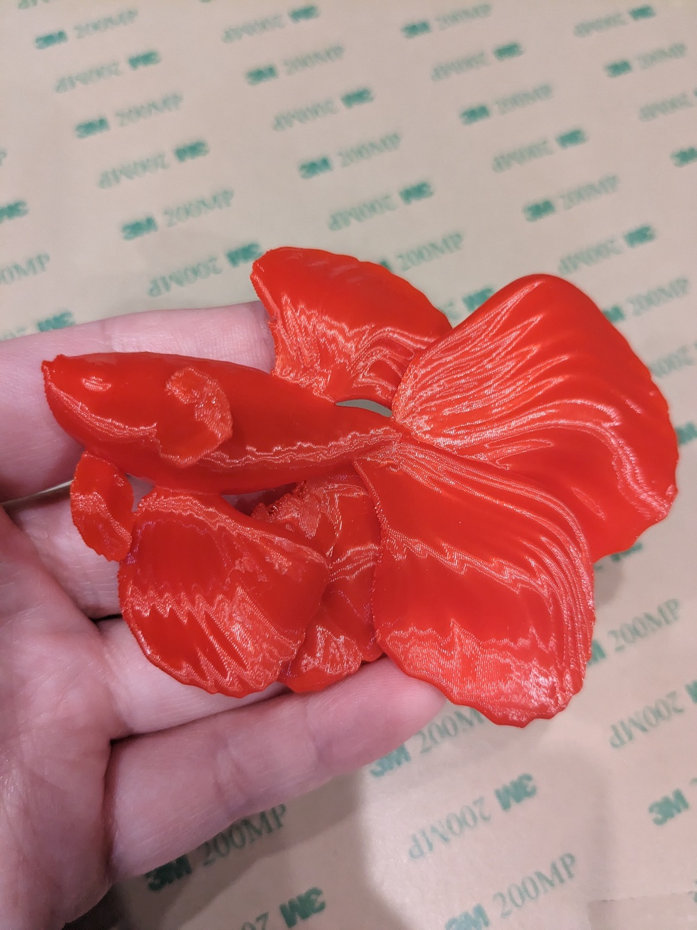 Betta Fish Looking for a unique gift.Our Betta Fish 3D figurine is sure ...