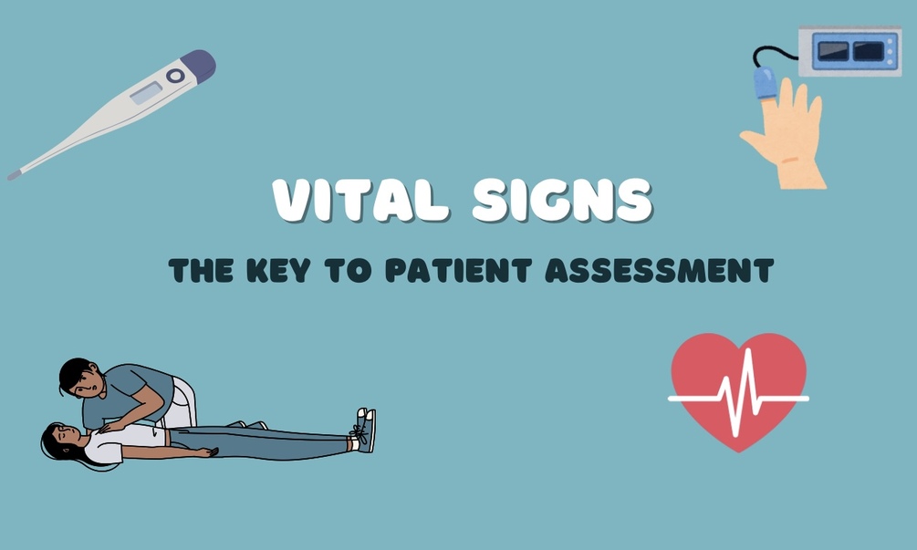 Professional Vital Signs PowerPoint Template - Editable Medical