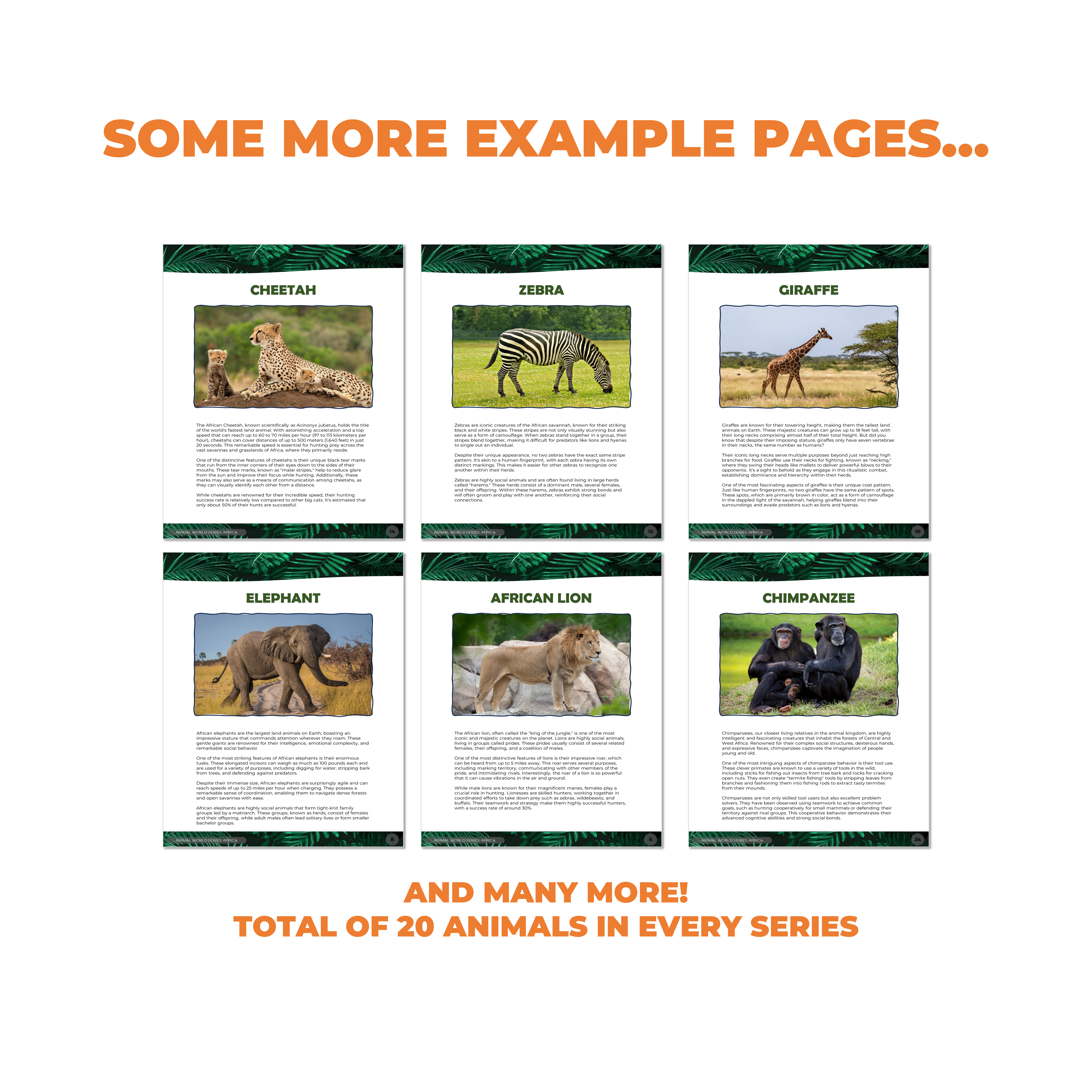 Printable Children Reading and Activity Book | Wildlife Animal World ...