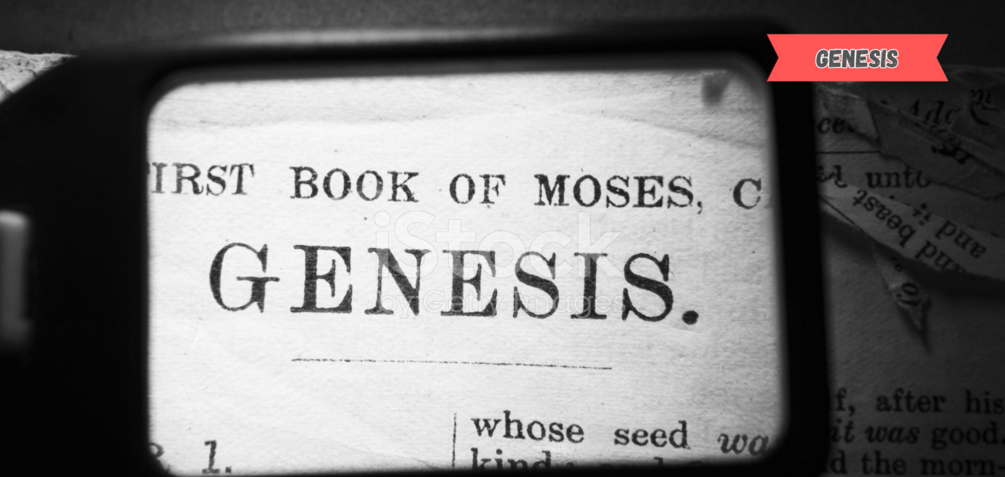 Holy Bible Made Simple - Genesis