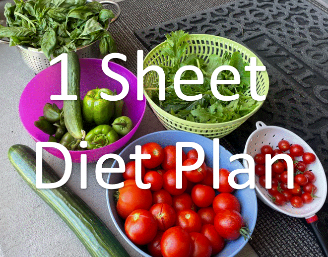 1 Sheet "Diet Plan